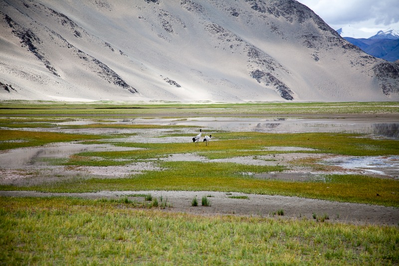 90 Days Cycling in the Himalayas: Day 58: Tsaga to Hanle - Cycling Monks